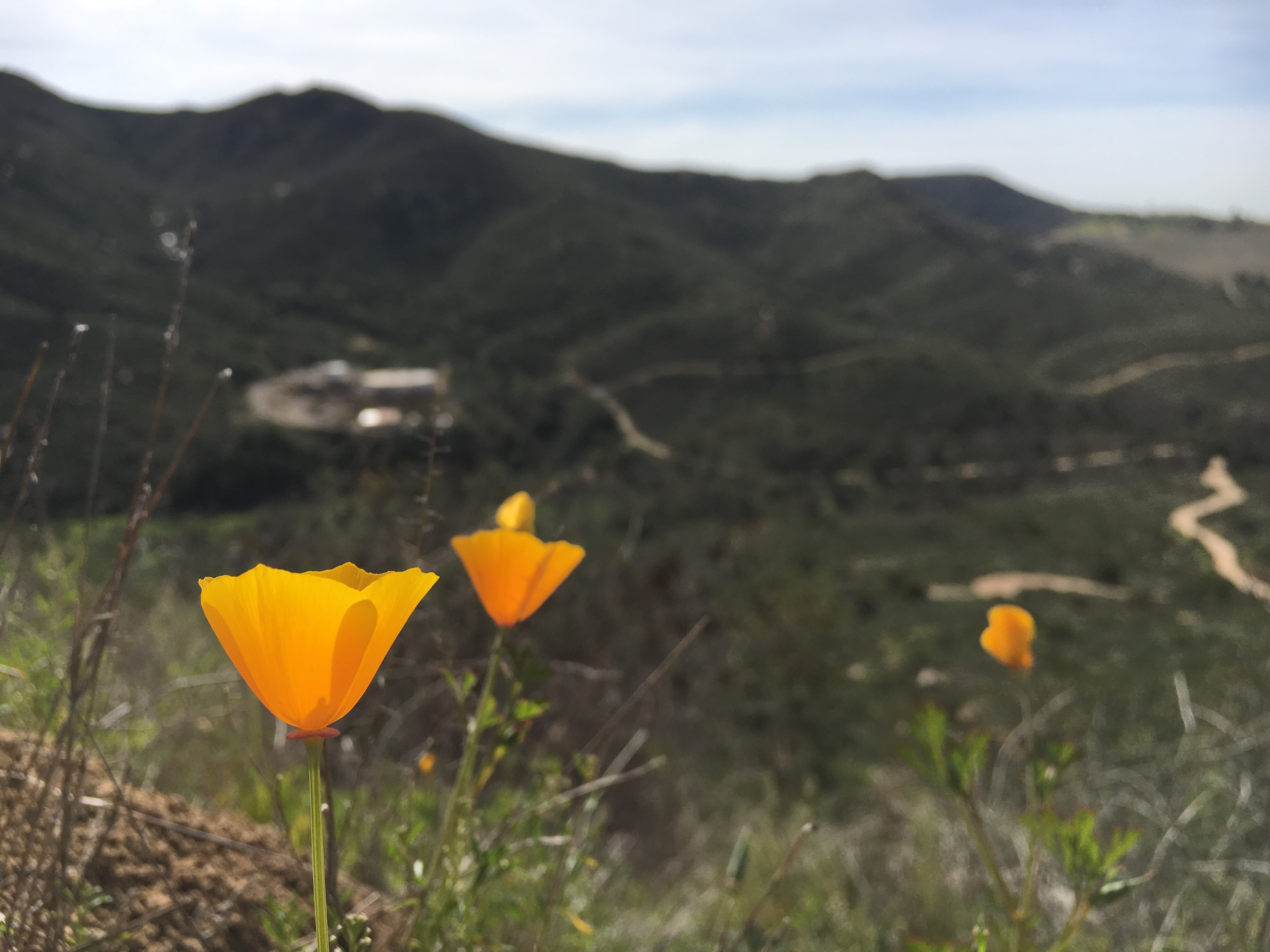 How to Hike Lake Ramona - Passport Diaries