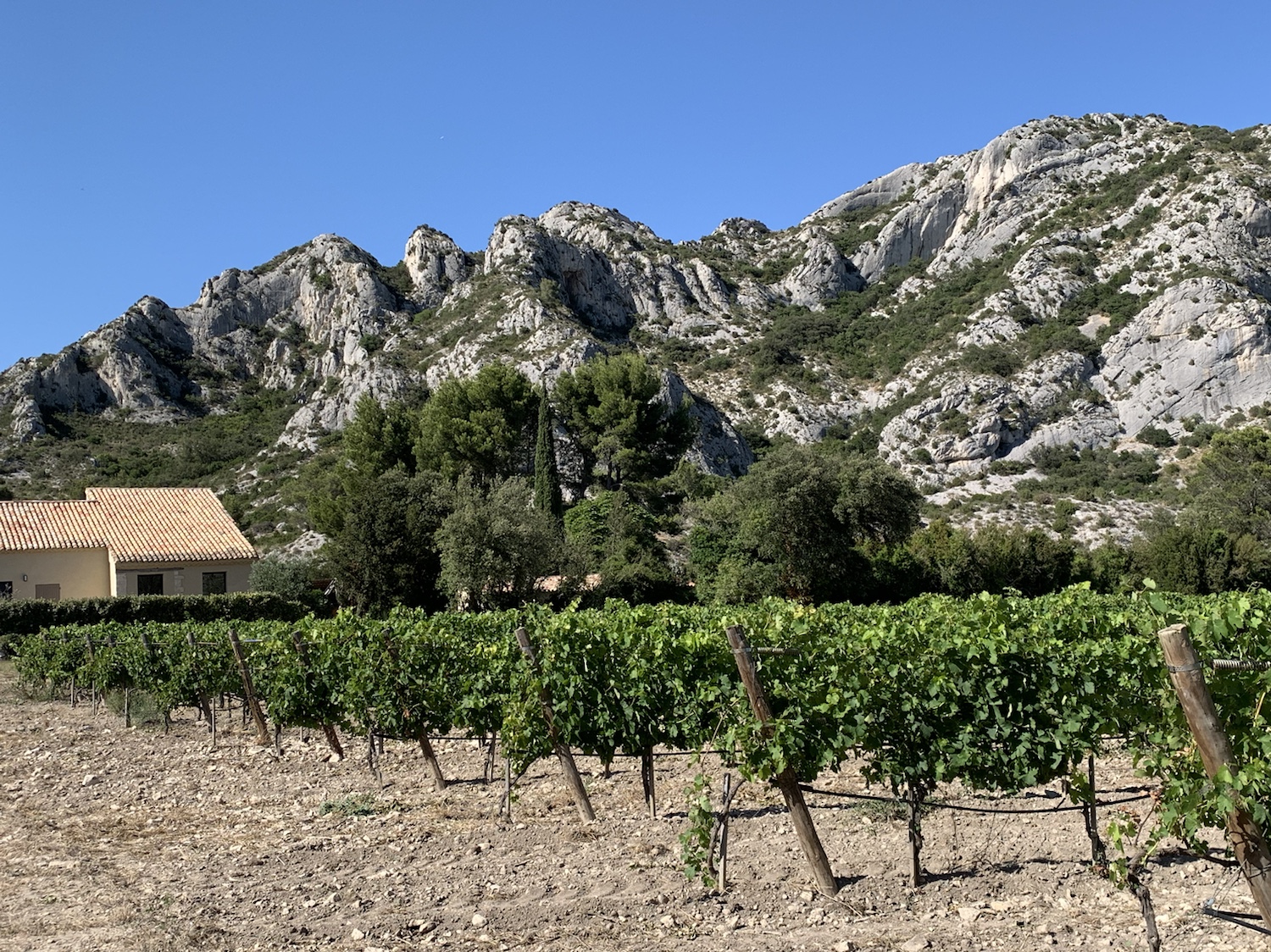 Provence in the Sun - Passport Diaries
